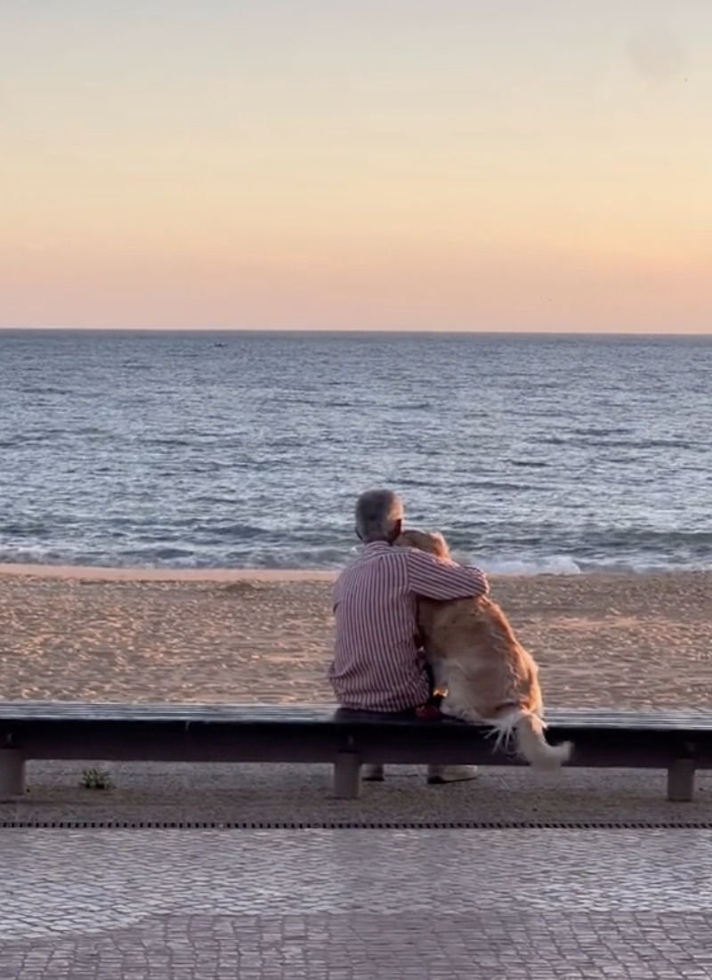 Elle Voit Un Homme Avec Son Chien Sur La Plage Ce Quil Lui Fait